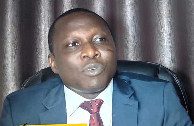 Sénatoriales au Togo : L’élection du 15 février est "décisive" (Dr ...